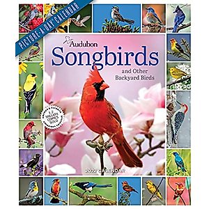 Audubon Songbirds and Other Backyard Birds Picture-A-Day Wall Calendar 2022: Your Daily Sighting of Songsters that Bring Color, Joy, and Sweet Melodies.