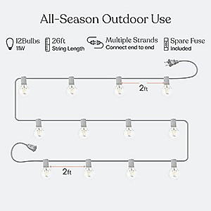 Brightech Ambience Pro LED String Lights - 26 Ft Commercial Grade Patio Lights Outdoor Waterproof - Globe Porch String Lights for Outside, Backyard - 1W Vintage Edison Bulbs, Shine Bright, White