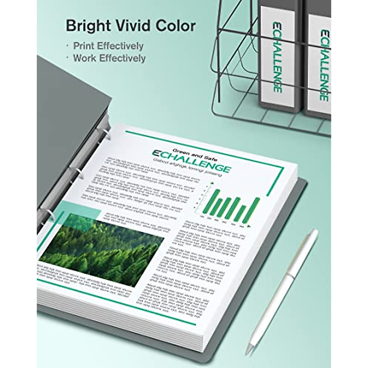 ECHALLENGE Compatible Ink Bottle Replacement for GI290 GI-290 G1200 G2200 G3200 G4200 G4210 (5-Pack 2Black Cyan Magenta Yellow)