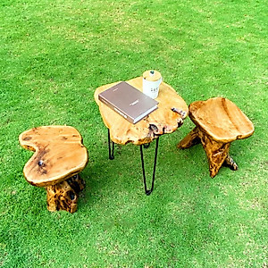 Brefhome Tree Stump Side Table Natural Edge Cedar Real Wood End Table,Small Wooden Mushroom Stool, Indoor/Outdoor