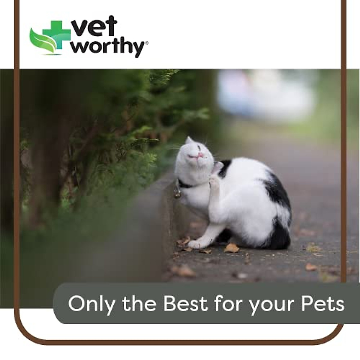 Vet Worthy Pet Hemostat - Stainless Steel Straight Hemostat to Remove Excess Hair, Burrs, Thorns - Professional Pet Grooming Tool for Cats and Dogs