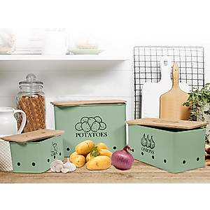 Xbopetda Canister Sets for Kitchen Counter, Kitchen Canisters Set of 3 for Potato Onion Garlic, Kitchen Storage Bin Jars Pots with Aerating Tin Storage Holes & Wooden Lid (Green)