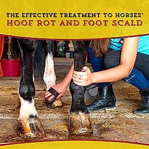 Dr. Naylor Hoof 'N Heal, Hoof Rot Foot Rot Wound Care, 16oz, Sheep Goat Cow Horse, 1-pack