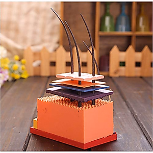 DEAVER Skin Structure Model,19 Detachable Parts Human Skin and Hair Organ Anatomy Model Medical Teaching Model,for Medical Educational Training Aid,Study Display