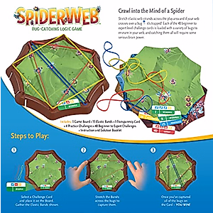 Think Fun Spiderweb: A Bug-Catching Logic Game for Ages 8+