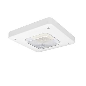 LED Petroleum Canopy Light