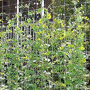 Toolazy Soft Mesh Nylon Trellis Netting Bulk Roll - 5 x 350 ft Heavy-Duty Garden Netting for Climbing Plants,Garden Melons Vegetables, Grape Racks, Hydroponic