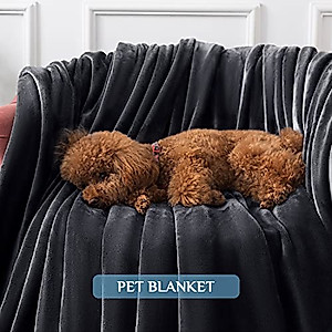 ONME Fleece Blanket, Twin Size Blanket - Soft Lightweight Microfiber Cool Blanket for Sofa, Couch, Bed, Camping, Travel, 60"x80" Dark Gray