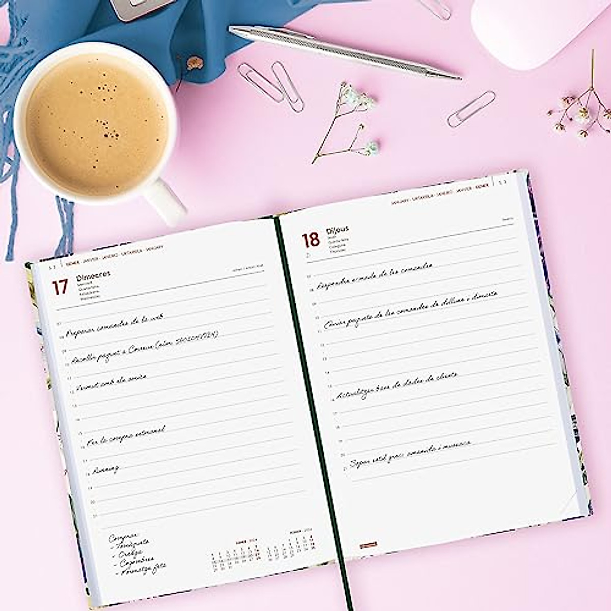 Finocam - Planner 2024 Dynamic Berlin 1 Day Page January 2024 - December 2024 (12 Months) Poppy Catalan