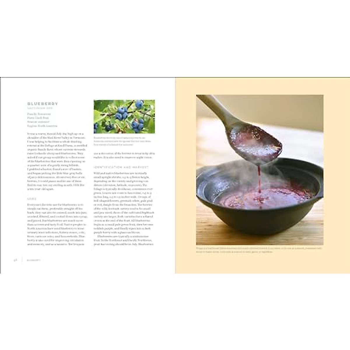 Iwigara: American Indian Ethnobotanical Traditions and Science