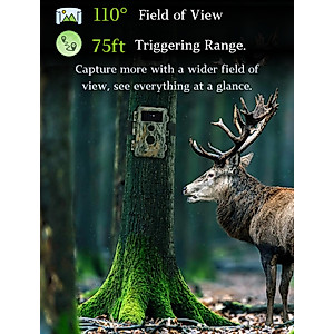 BLAZEVIDEO 2-Pack Game & Trail Camera 32MP 1296P MP4 Video No Glow Night Vision Motion Activated IP66 Waterproof 0.3 Trigger Speed for Hunting Wildlife & Home Surveillance
