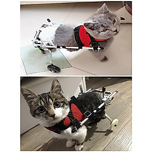 Cat Wheelchair Adjustable 2 Wheels Pet Wheelchair Lightweight Cat Barrier Wheels for Rehabilitation Aid for The Back Legs of Aging, Disabled, Injured, Arthritis, Weak Cats/Pets (M)