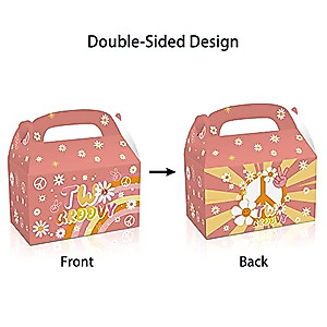 NA 12PCS Two Groovy Party Boxes Retro Hippie Boho Favors Boxes Goody Treat Daisy Rainbow Theme Girls Birthday Decorations Party Supplies for Candy Chocolate Cookies