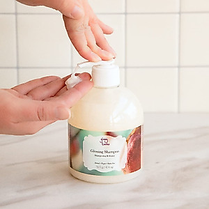 100% PURE Glossy Locks Glossing Shampoo Hair Wash Detox & Hydrate Shine Boosting Dry Dull Damaged Strands Avocado Butter & Seaweed Collagen Natural Care for Women & Men Vegan - 16 Fl Oz