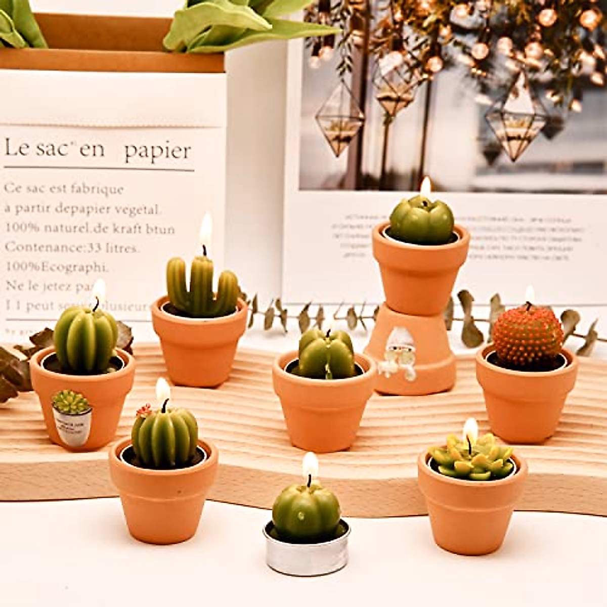 18pcs Cactus Tealight Candles Tea Party Decorations Succulent Baby Shower Fiesta Party Favors Home Decor Plant Gifts T Light Candles in Bulk