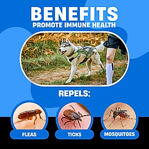 Natural Flea and Tick Prevention for Dogs - Dog Flea and Tick Treatment Chewable - Safe Flea Treatment Dogs of All Breeds & Ages - Flea Chews for Dogs - Flea Pills for Dogs for Dog Flea & Tick Control