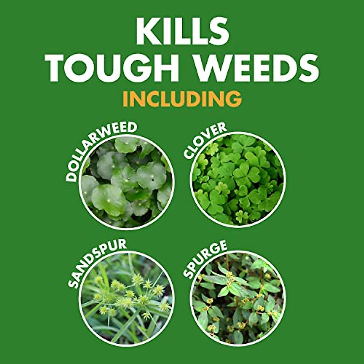 Spectracide Weed Stop For Lawns For St. Augustine & Centipede Lawns Concentrate, Ready-to-Spray, 32-Ounce, 6-Pack, Clear