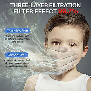 LBLVBNEWD Aer1 Filter Replacement for Holmes AER1 Air Purifiers, 4 True HEPA Air Filters + 8 Carbon Booster Filters for Replacement Parts # HAPF300AH-U4R, HAP242-NUC