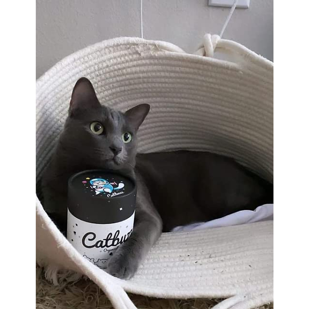 Catbuzz Premium and Organically Grown Catnip, Fresh, Grown by Family Farmers in USA, All-Natural, Eco-Friendly, Sustainable