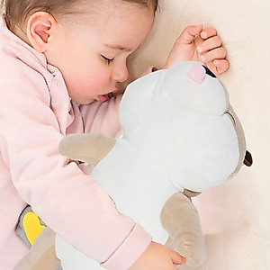 AEECASI Cute Otter Plush,Soft Sea Otter Stuffed Animal Hugging Pillow,Sea Otter Plushie Gift for Boys Girls Kids Toddlers,Adorable Sea Animal Plush Toy,Creative Stuffed Otter Decoration,20"