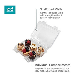 good natured Macaron Alternative Plastic Container Pack of 250, 6 Compartment Food Storage for Macaron Display, Candy & Cookie Packaging - Ideal for Parties & Events