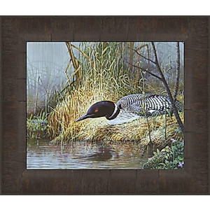 Home Cabin Décor Guard Duty by Scott Zoellick 12x14 Loon Wildlife Framed Art Print Picture