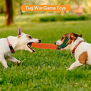 LIFLIX Dog Rope Toy, Tug of War Dog Toy, Cute Carrot Dog Toy with Crinkle Paper Tags