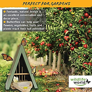 Wildlife World Butterfly House and Feeder - Natural Habitat to Attract Butterflies to Your Garden (Blue)