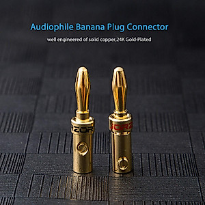 JORZOR 1 Pair 10AWG Speaker Cable,with Gold Plated Banana Tips, Oxygen Free Copper (3FT)