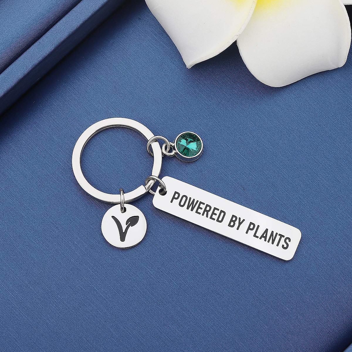 MYOSPARK Vegetarian Gift Powered By Plants Vegan Symbol Keychain Vegetarian Jewelry Animal Rights Gift For Animal Lover (Powered By Plants Keychain)