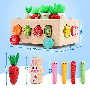 CUTE STONE Montessori Wooden Stacking Toys, Learning Sorting Toys for Toddlers, Baby, Kids, Boys and Girls