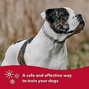 Herm SPRENGER Ultra-Plus Prong Dog Training Collar,  3.0 mm x 18" Neck Size, 3.0 mm x 20" Chain Length, Steel Chrome Plated Dog Prong Collar, Pinch Collar for Dogs, Dog Correction Collar