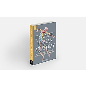 Dynamic Human Anatomy: An Artist's Guide to Structure, Gesture, and the Figure in Motion