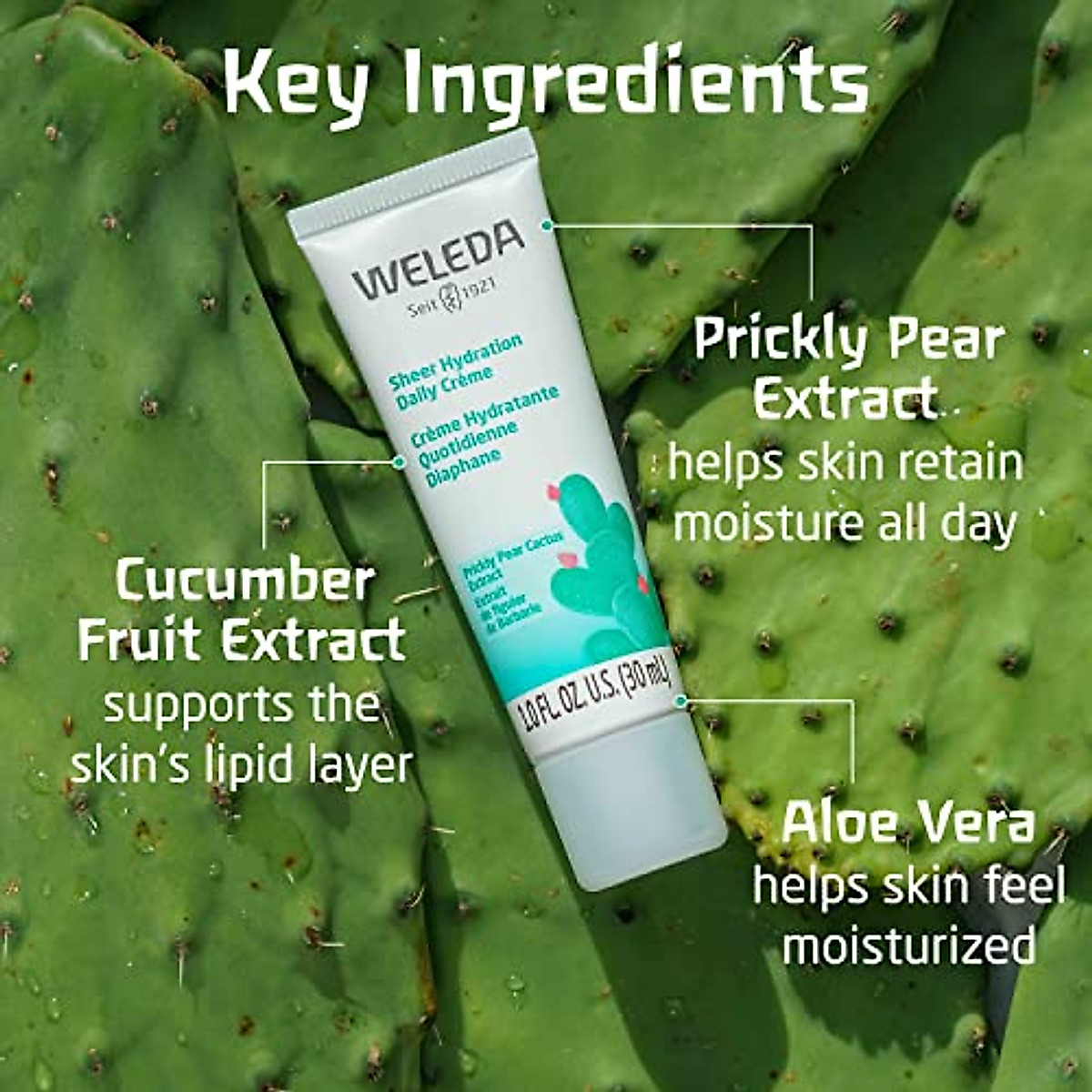Weleda Sheer Hydration Daily Face Crème, 1 Fluid Ounce, Plant Rich Moisturizer with Prickly Pear Cactus Extract and Aloe Vera, 1 Fl Oz (Pack of 1)