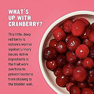 Active Chews | Cranberry Supplement for Dogs | Dog UTI, Bladder Control for Dogs | Dog Kidney Support, Dog Cranberry Supplement, Dog Health Supplies, Dog Incontinence Products | 120 ct