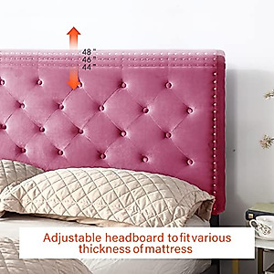 King Upholstered Platform Bed Frame with 48" Tall Adjustable Headboard - Button Tufted Suede Velour Bed- Wood Slat Support with Storage Space - No Box Spring Needed - Pink - OLIVER & SMITH - Princeton