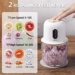 Cordless Food Processor Electric, 600ML Small Electric Food Chopper Glass Bowl for Meat Vegetables Onions Garlic, Meat Chopper Blender