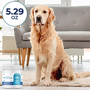 Replenish Hemp Calming Chews for Dogs and Cats - Dr. Rachel's Dog Calming Treats, Soothing Botanicals, Grain-Free, Anxiety Relief, Stress Support - 60 Count