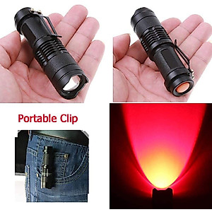 WAYLLSHINE (Pack of 4 Single Mode Red Light Flashlight, 1 Mode Red LED Flashlight Red Flashlight Torch, Red LED Red Light for Astronomy, Aviation, Night Observation