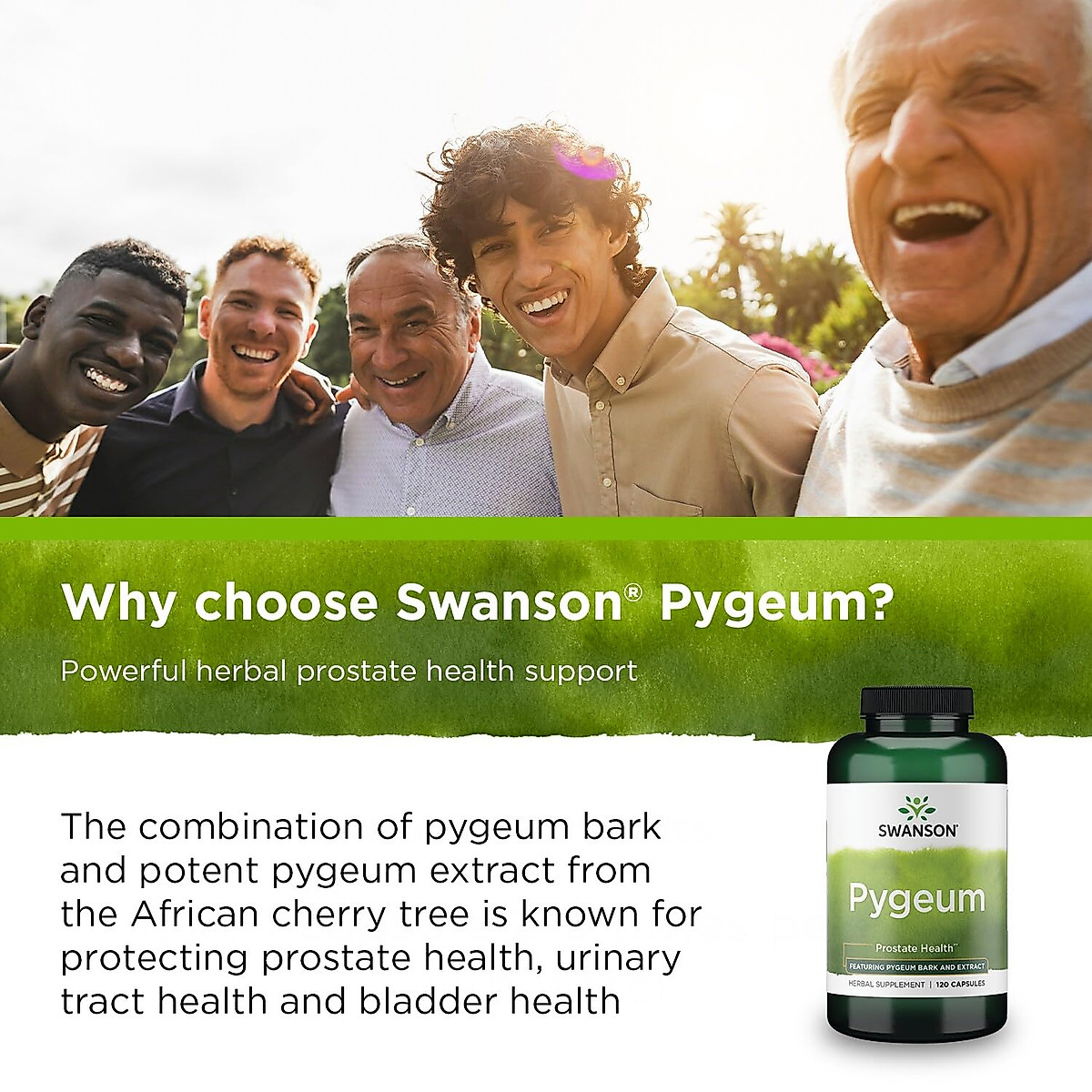 Swanson Pygeum - 120 Capsules, 400 mg Each - Herbal Supplement for Male Prostate Health, Bladder, and Urinary Tract Support (3 Pack)