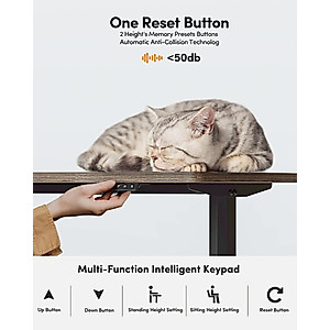 FAMISKY Electric Standing Desk, 55 x 24 Inches Height Adjustable Desk, Ergonomic Home Office Computer Workstation with Splice Board, Rustic Brown