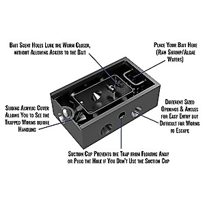 Bristle Worm Trap with Window (Black)
