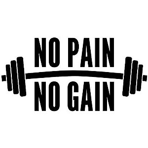 LAPTOPS Walls Windows