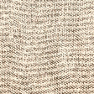 vidaXL 6X Dining Chairs Home Indoor Dining Room Kitchen Wooden Dinner Armchair Dinette Seat Seating Sitting Chair Furniture Cream Fabric