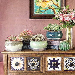 Summer Impressions 7 Inch Glazed Terracotta Plant Pot Round Ceramic Succulent Planter Pot with Drainage and Saucer Cactus Clay Pot Bonsai Pot