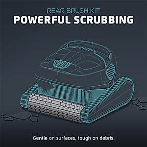 Dolphin Genuine Replacement Part — Rear Grey Brush Kit — 99955380-ASSY