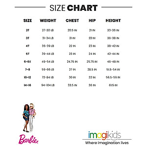 Barbie Toddler Girls Fashion Pullover Graphic T-Shirt Black/Silver 4T