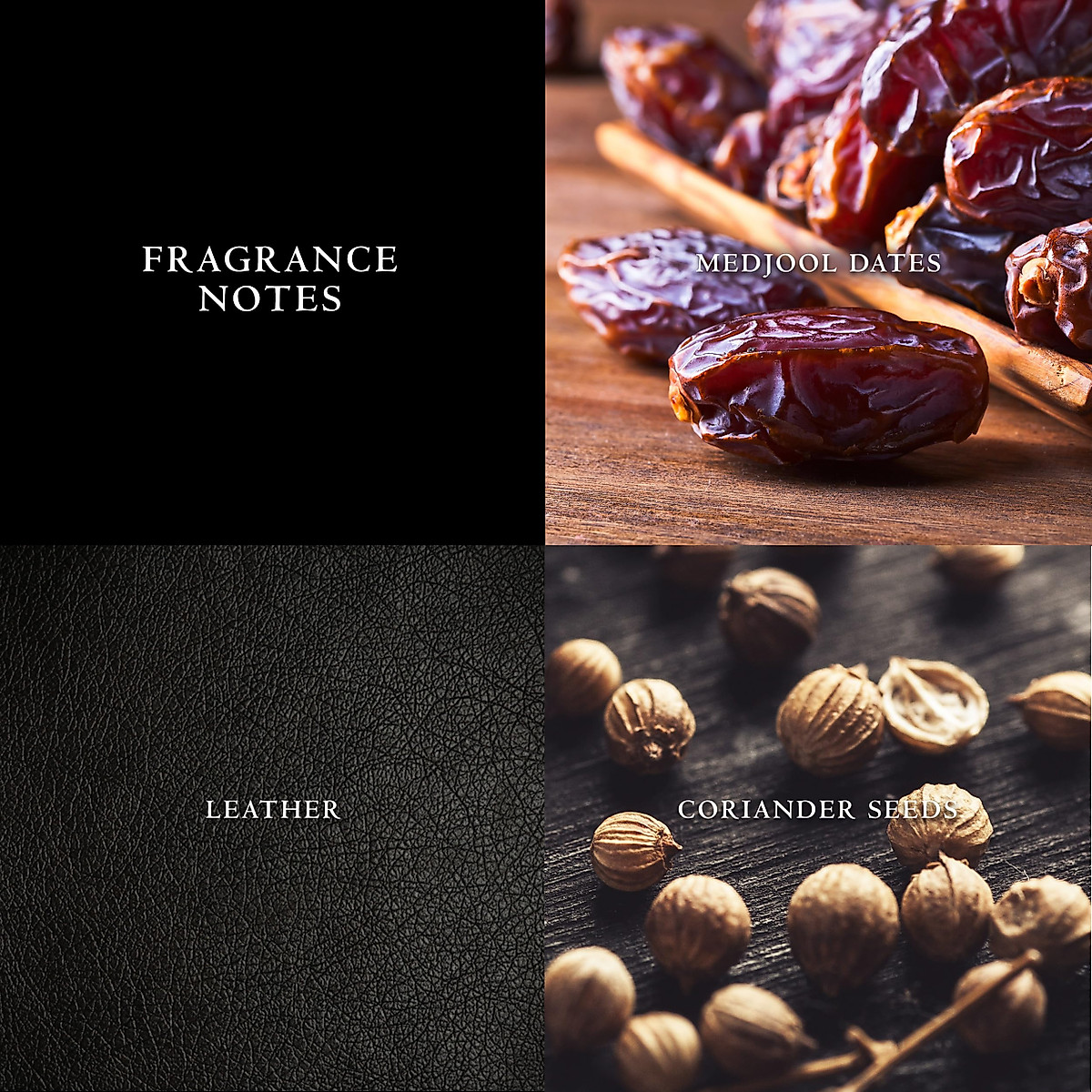 John Varvatos Men's Cologne, John Varvatos Eau de Toilette EDT Spray, Spicy Woody Scent with Notes of Medjool Dates, Coriander Seed & Leather, 6.7 fl. oz