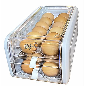 Generic Egg Holder/Container for Refrigerator, Large Capacity, High Quatily, Fresh MultiLayer Box Fridge for Chicken Egg, Storage Kitchen Organization, Chic Design (Gray, Medium 2-Layer 24 eggs)