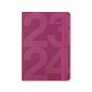 Letts Block A5 week to view 23.24 academic diary - pink